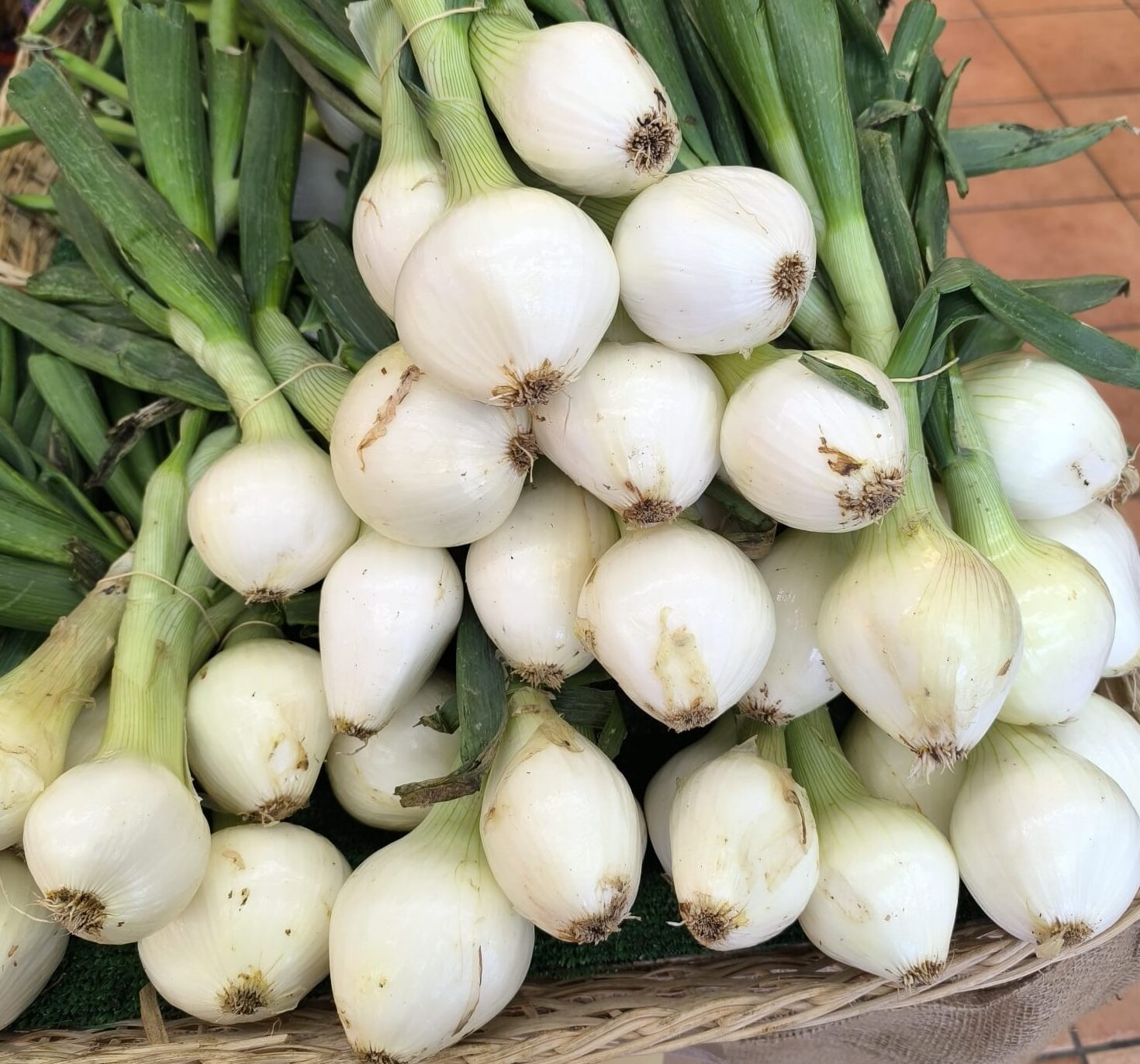 MANOJOS DE CEBOLLA TIERNA - Naturem Tienda